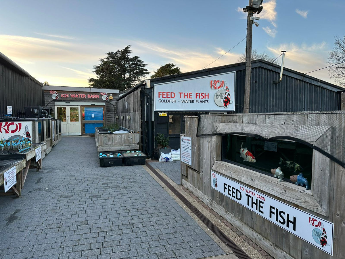 About – Koi Water Barn